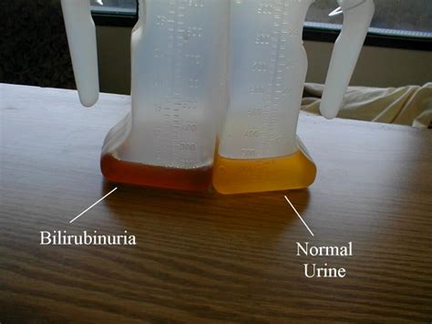 Medpics Uc San Diego School Of Medicine
