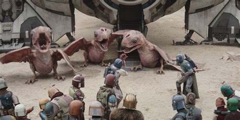 ‘the Mandalorian Season 3 How Many Foundlings Did That Shriek Hawk Eat
