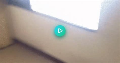 trying to catch the mouse on imgur