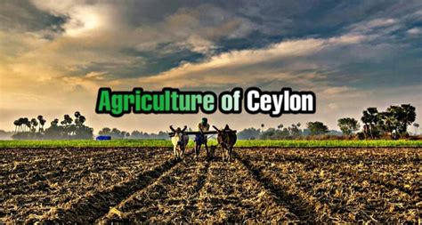 සත්ව පාලනය හා නිෂ්පාදන සත්ව පාලනය හා නිෂ්පාදන දැනුම