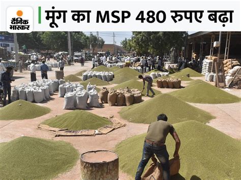 Msp Increase Narendra Modi Government Increases Msp Of Kharif Crops