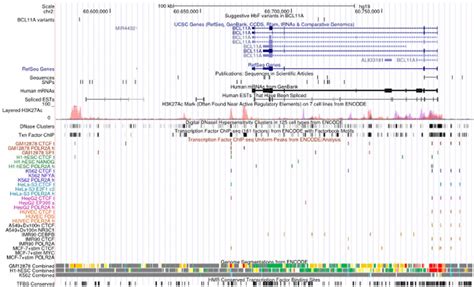 a snapshot of ucsc genome browser showing relevant encode tracks the