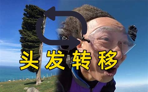 好大一棵牙刷树！怎么有点像陈奕迅？什么原因？【趣味地理215】 哔哩哔哩