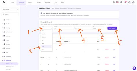 How To Add Txt Record In Hostinger With A Few Clicks
