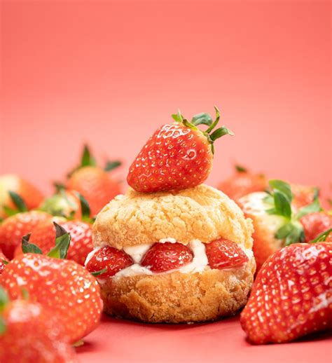 홍보영상제작 영동스튜디오