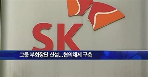 젊고 빨라진 Sk 임원인사 사상최대그룹 부회장단 신설 눈길