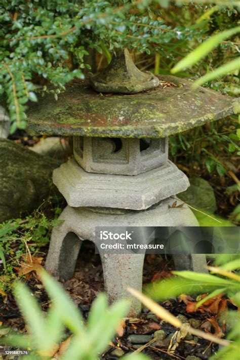대나무 단풍 나무 잎 배경과 표면에 자라는 이끼와 이끼로 풍화 된 고층 현대 사각형 기둥 등불을 배경으로 한 동양 일본 정원에서