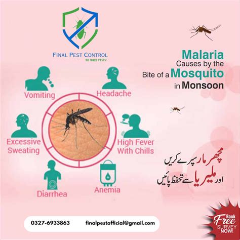 Malaria Control Spray Services