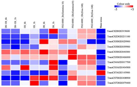 Differential Expression Of 11 Most Promising Candidate Genes Under
