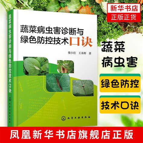 蔬菜病虫害诊断与绿色防控技术口诀科学施肥指导绿色无公害蔬菜种植技术书大棚蔬菜gaoxiao栽培图书棚室蔬菜病虫害诊断与防治 虎窝淘