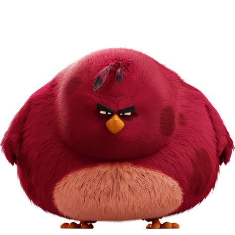 Give Me Any Bird That Looks Like It Would Commit Tax Evasion And Ill