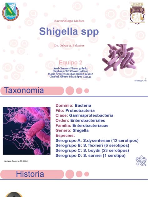 Shigella Spp Pdf Microbiología Biología