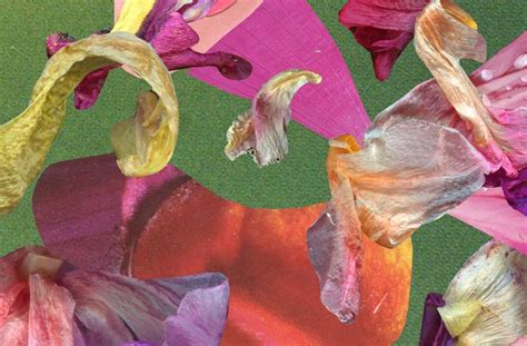 David Maggs On Linkedin Art And Social Impact Having Our Cake And