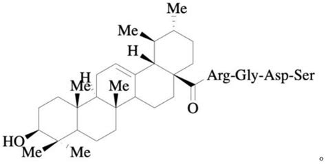 熊果酰 Arg Gly Asp Ser、其合成、活性和应用