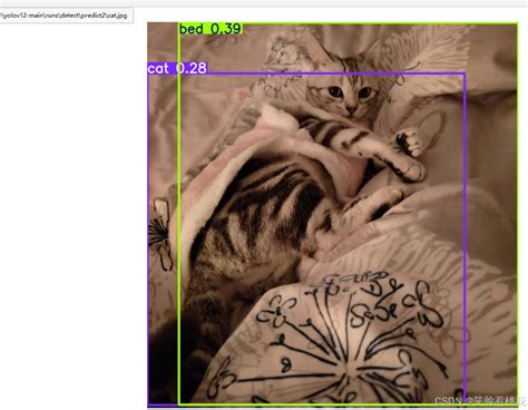 目标检测：yolov12环境配置，超详细，适合0基础纯小白目标检测笑脸惹桃花 天启ai社区