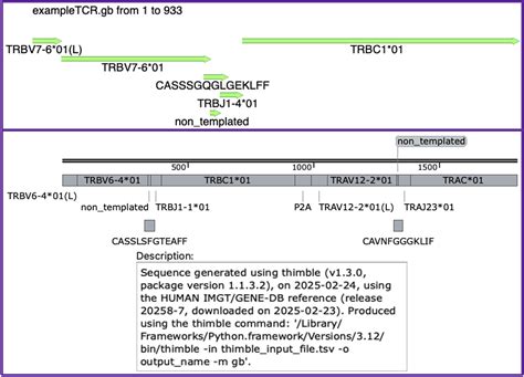 Stitchr Output Modes — Stitchr Documentation