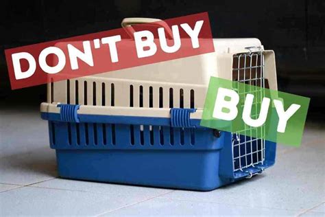 What Size Dog Crate Do I Need For A Cavapoo