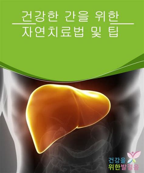 건강한 간을 위한 팁과 자연치료법 자연 치료법 건강한 건강