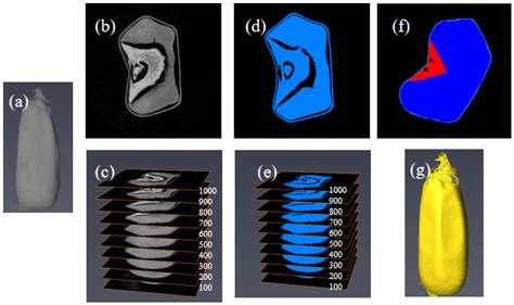Applied Sciences Free Full Text Characterization And Detection