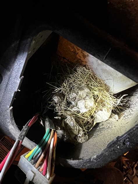 Cub Cadet Wont Turn Over R Smallengines