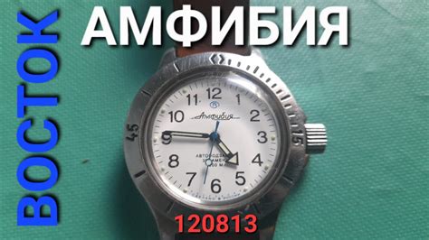 Часы Восток Амфибия 120813. После 1,5 года пользования. - YouTube