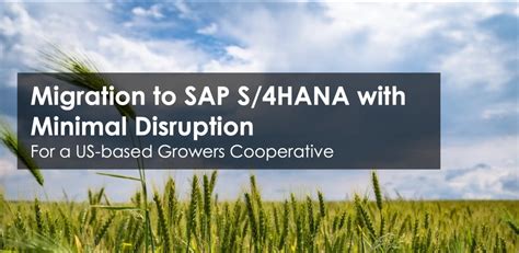 SAP S 4HANA Migration With Minimal Disruption The Silicon Partners