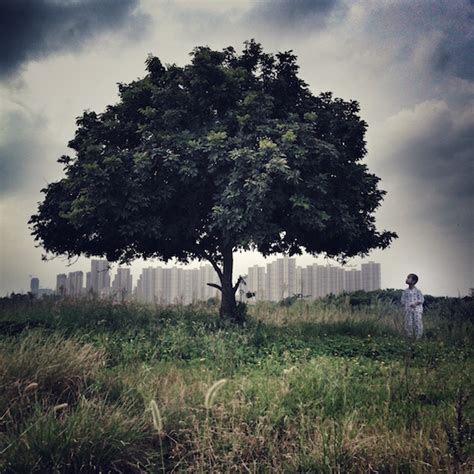 I Vincitori Degli Iphone Photography Awards 2016 Il Post