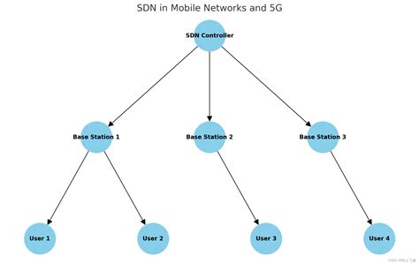 一文让你彻底搞懂什么是sdn（软件定义网络） Csdn博客