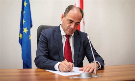 დავით ნარმანია სემეკის თავმჯდომარე გახდა