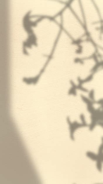 꽃 가지 와 창문 그림자 로 된 배경 무료 사진