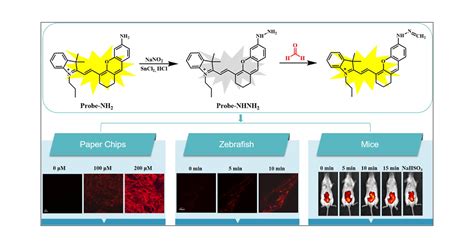 Design Of A New Hydrazine Moiety Based Near Infrared Fluorescence Probe For Detection And