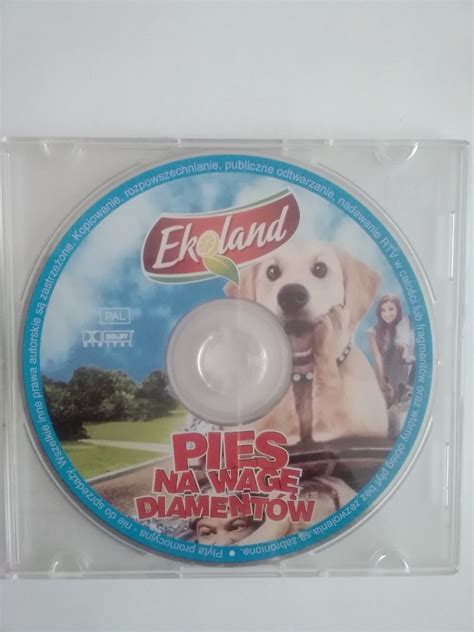 Pies na pieniądze Gratka pl Oferta archiwalna