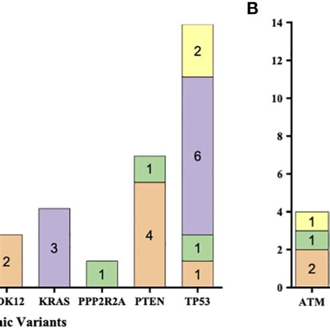 Types Of Mutations In Each Type Of Aberrations A Aberrations In