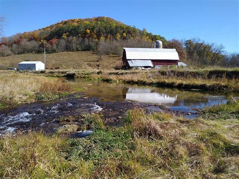 What Are Neonicotinoids And Why Are They Used