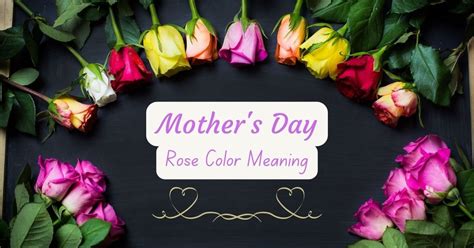 Mothers Day Rose Color Meanings James Cress Florist
