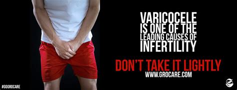 An Ayurvedic Natural Varicocele Kit By Grocare Grocare® India