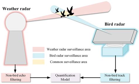 The Diagram Of Density Calculation For The Scanning Bird Radar Showing Download Scientific