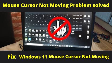 My Mouse Is Not Moving Smoothly At Rose Holeman Blog