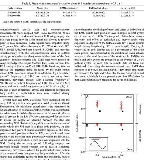Timing Of Electromyogram EMG Offset A And Onset B Of Activation