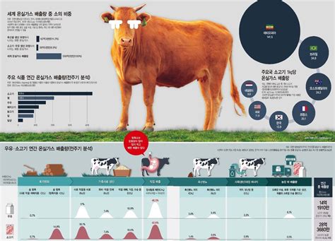소가 차보다 온실가스 많이 배출소는 왜 누명을 썼나