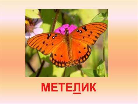 Автоматизація звука [ л ] в словах презентация онлайн