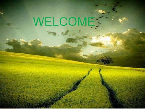 Seed Germination Testing Using Rag Doll And Seed Box Method Pptx