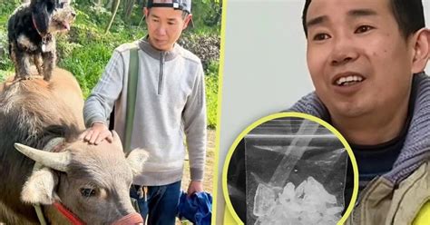 Китайский мошенник на пути исправления как мужчина стал знаменитым благодаря видео о разведении