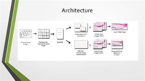 Whole Slide Image Stitching For Osteosarcoma Detection Ovidiu