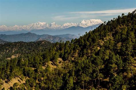 Zero Point Binsar Images Best Time To Visit
