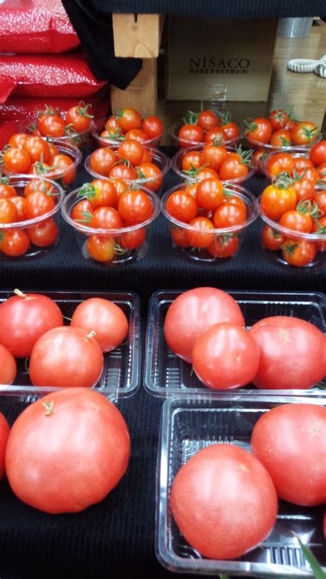 5ツ星お米マイスターが作る自家製野菜 夏野菜大豊作 5つ星お米マイスター厳選のお米通販なら大阪のコスモ