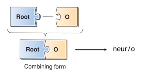 Basic Concepts Chapter 1 4 Flashcards Quizlet