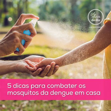 DICAS PARA COMBATER OS MOSQUITOS DA DENGUE EM CASA FLÁVIA FERRARI