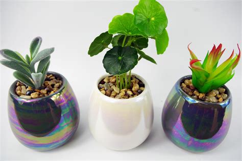 Cm Set Of Three Grey White Mix Ceramic Mini Planters With Artificial Succulent Plants Leaf