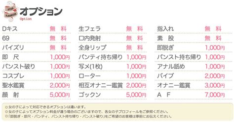 風俗店の基本プレイと有料オプションとは 風俗用hp制作ならまるごとホームページ